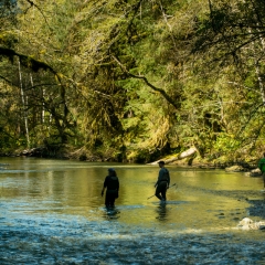 phillips river. phillips arm Archives - Eiko Jones- Photo and Video