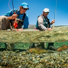 rainbow trout Archives - Eiko Jones- Photo and Video