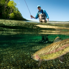 rainbow trout Archives - Eiko Jones- Photo and Video