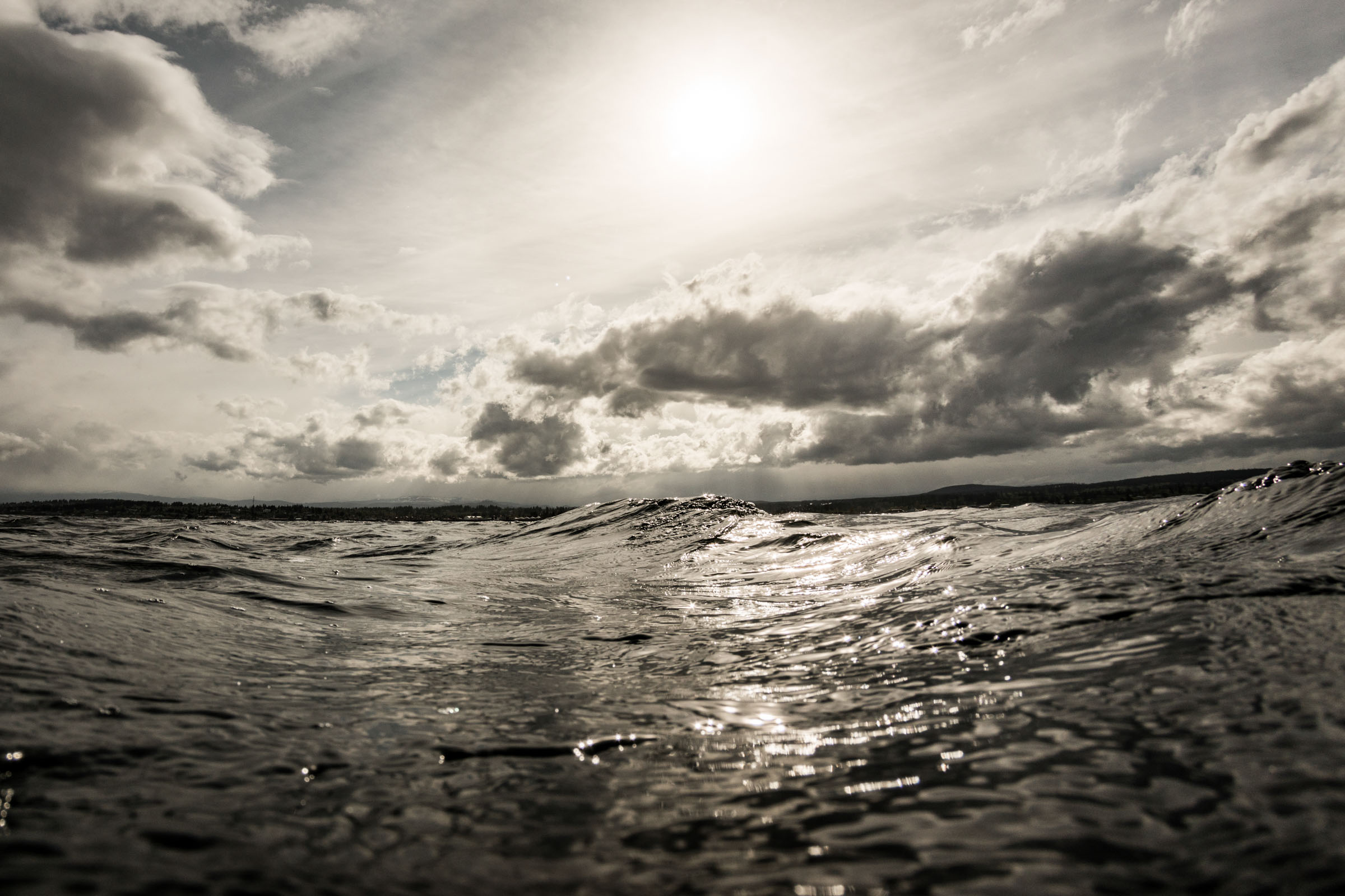 quadra island diving Archives - Eiko Jones- Photo and Video