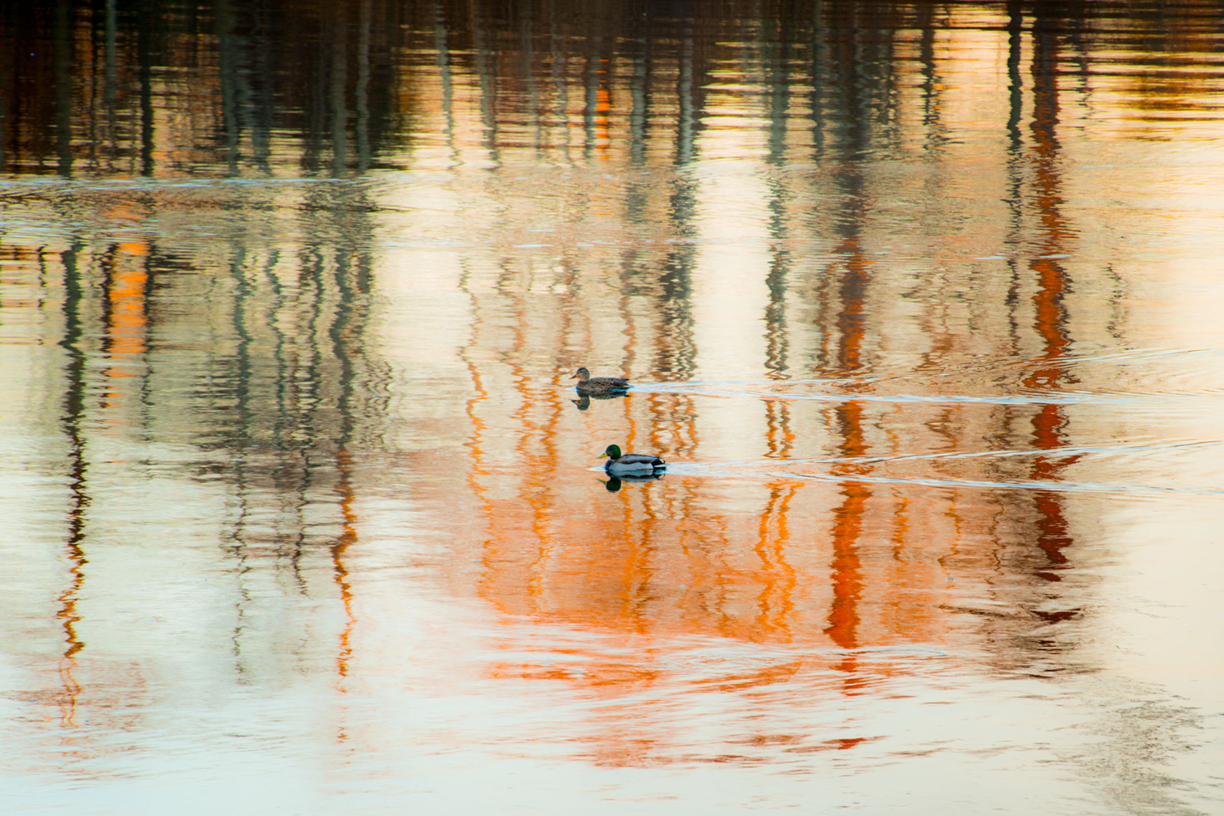 estuary Archives - Eiko Jones- Photo and Video