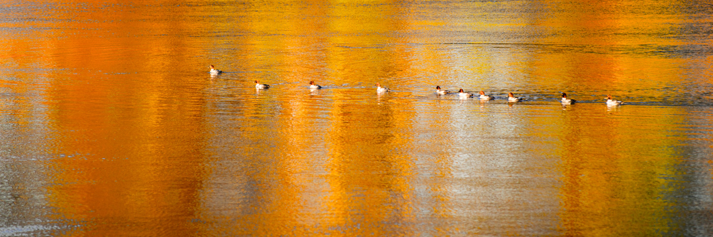 estuary Archives - Eiko Jones- Photo and Video