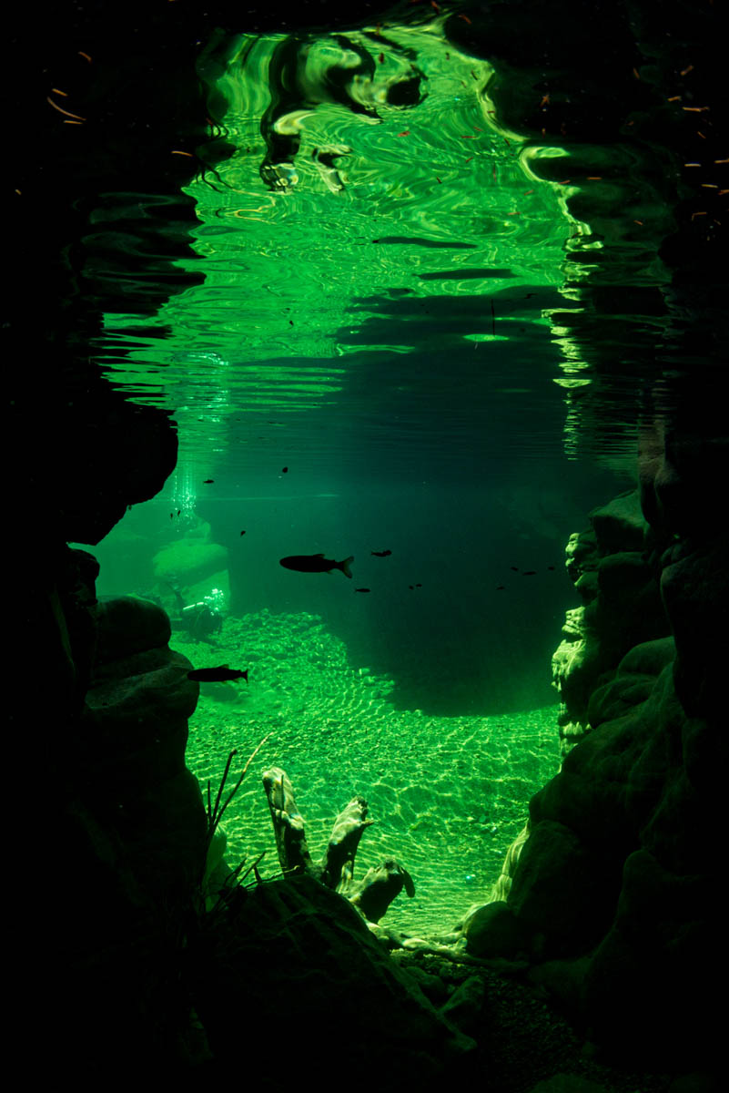 Water- Essence of Life - Eiko Jones- Photo and Video