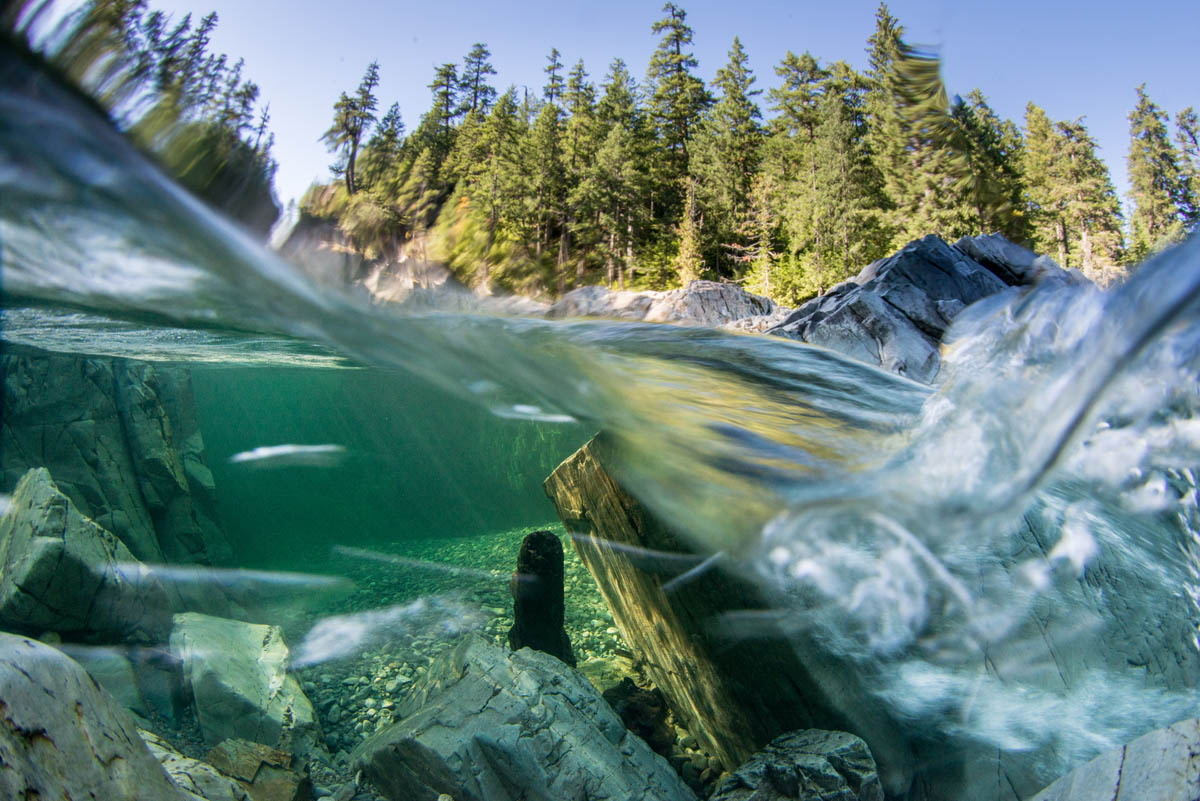 myra falls Archives - Eiko Jones- Photo and Video