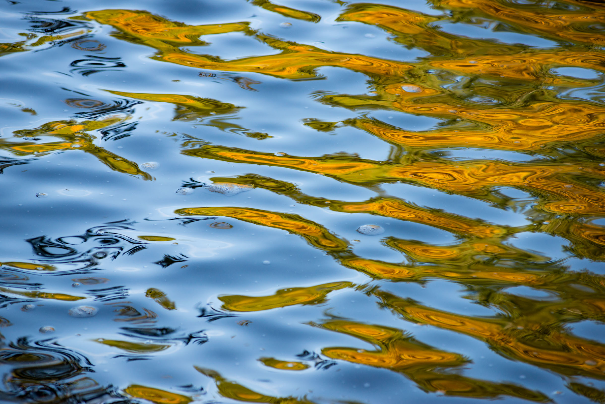 reflections in water Archives - Eiko Jones- Photo and Video