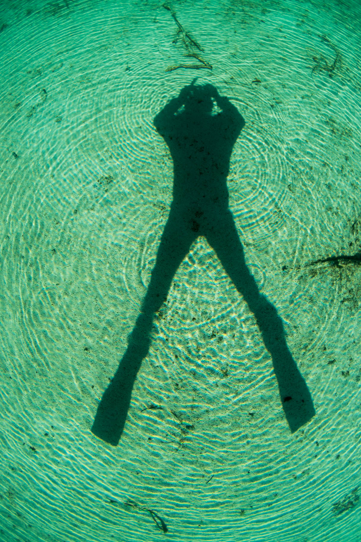 underwater light Archives - Eiko Jones- Photo and Video