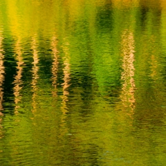 hornby island sunrise Archives - Eiko Jones- Photo and Video