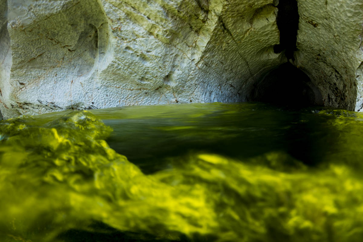 underwater image Archives - Eiko Jones- Photo and Video