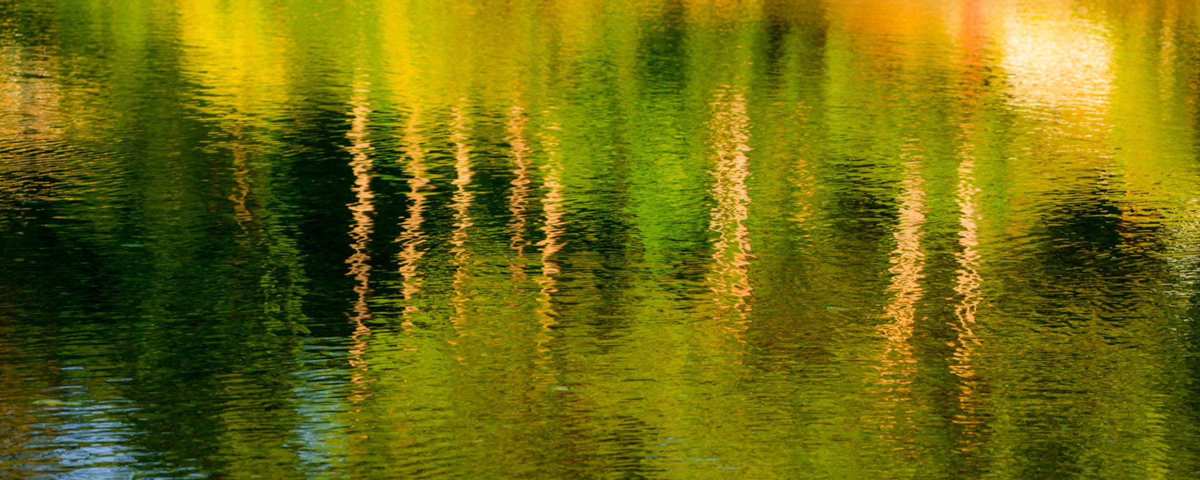 hornby island sunrise Archives - Eiko Jones- Photo and Video