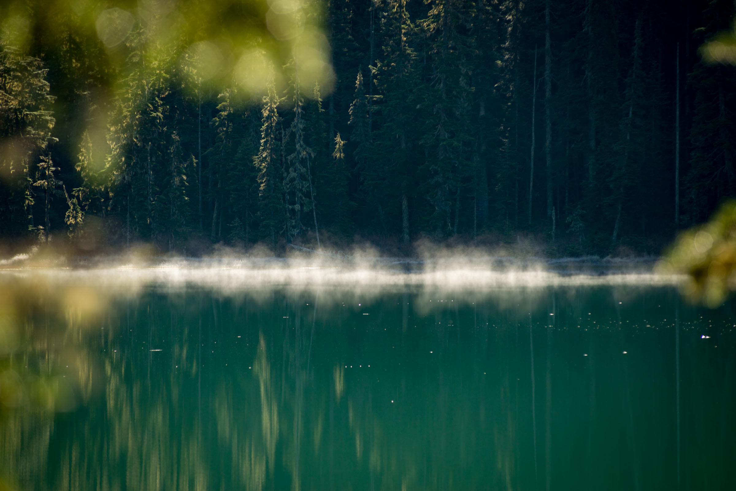 mist rising off lake Archives - Eiko Jones- Photo and Video