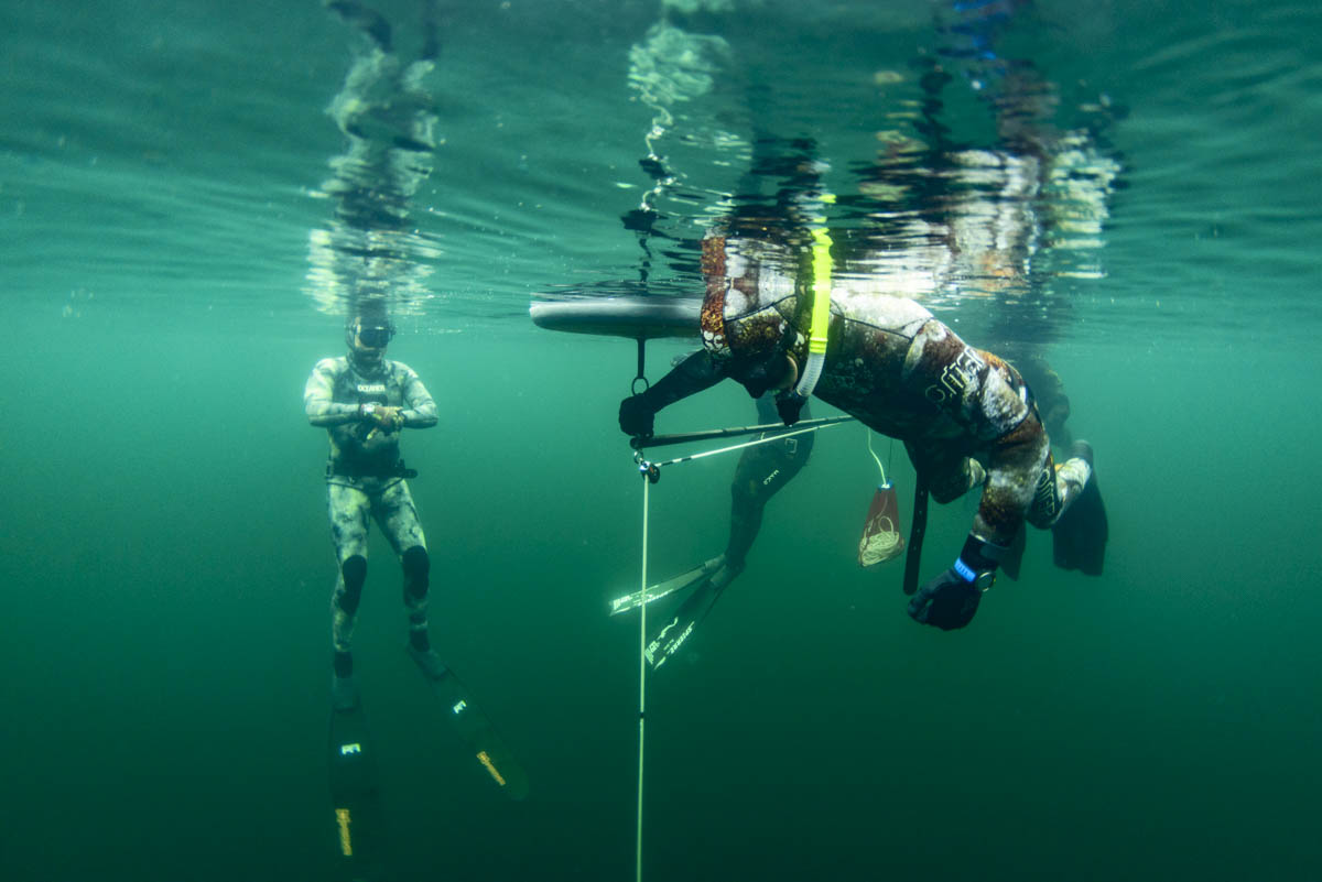 Freediving - Eiko Jones Photography