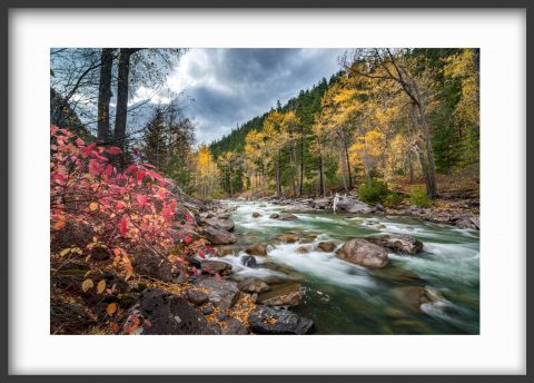 Underwater and Landscape imaging from around the world